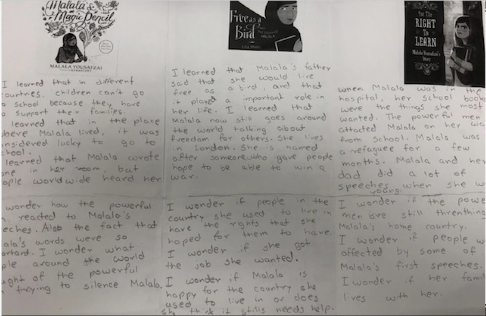 Text Sets: Reading Beyond Just Facts – Choice Literacy