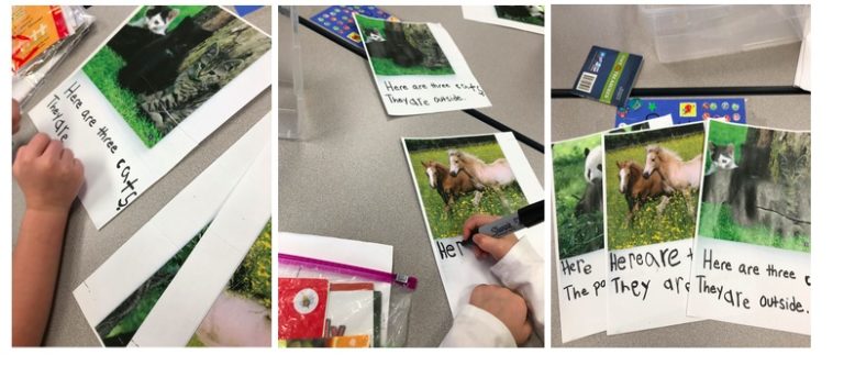 Small-Group Instruction: Bookmaking – Choice Literacy