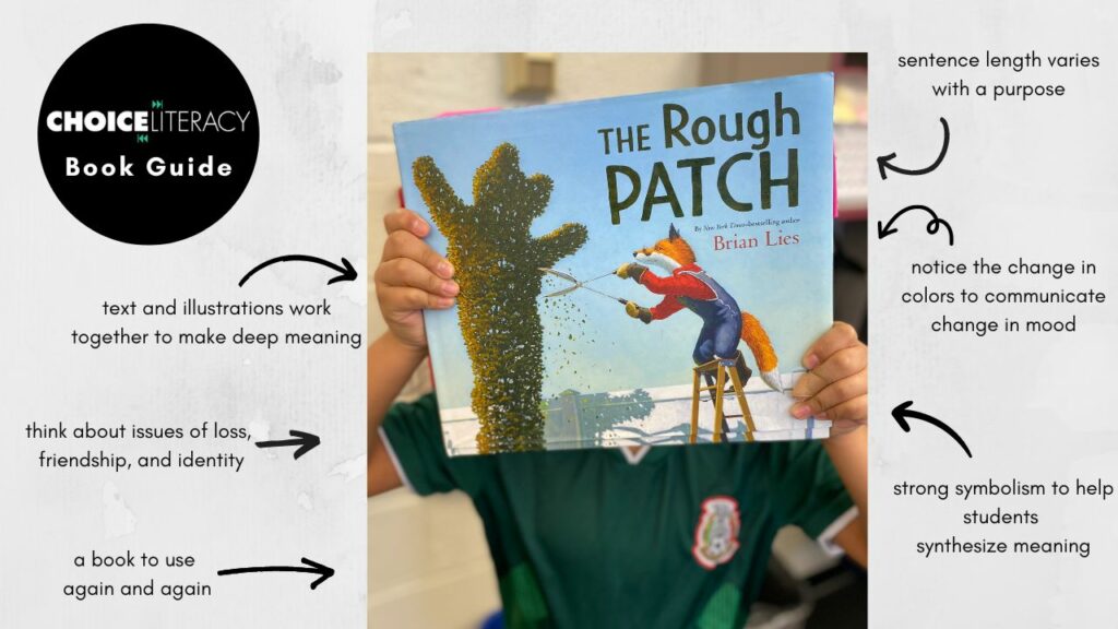 The Rough Patch by Brian Lies – Choice Literacy